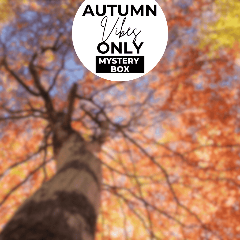 Autumn Vibes Only Dip Powder Mystery Box – Revel Nail